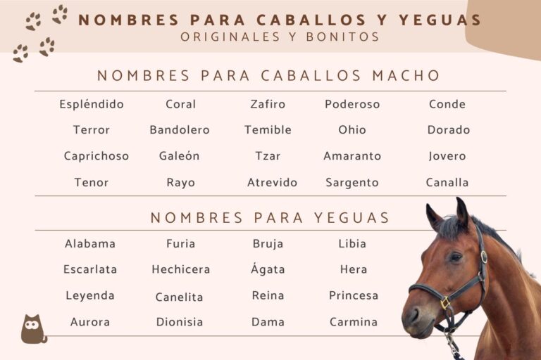 Lista nombres para caballos machos