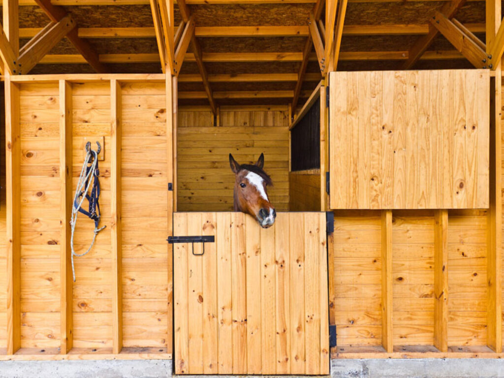 caballerizas-y-establos-d-nde-se-guardan-los-caballos