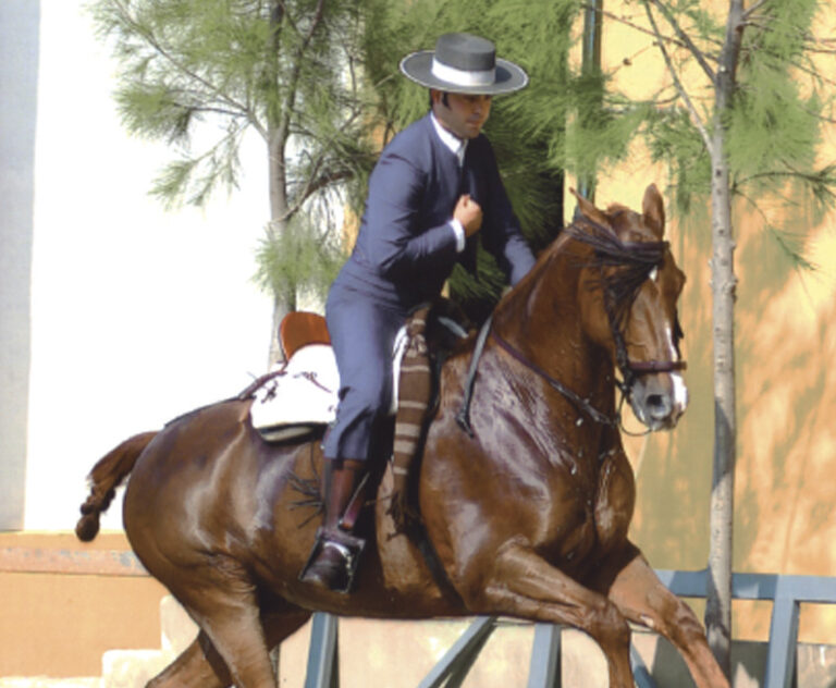 Cuánto tiempo puede ir un caballo al galope