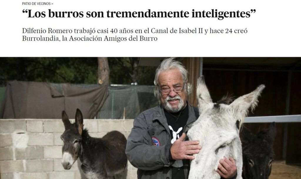 Quién es más inteligente el caballo o el burro